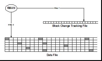 技术分享|网络安全|Oracle增量备份和快速备份（块改变跟踪Block Change Tracking）|虚拟机备份专家云祺科技